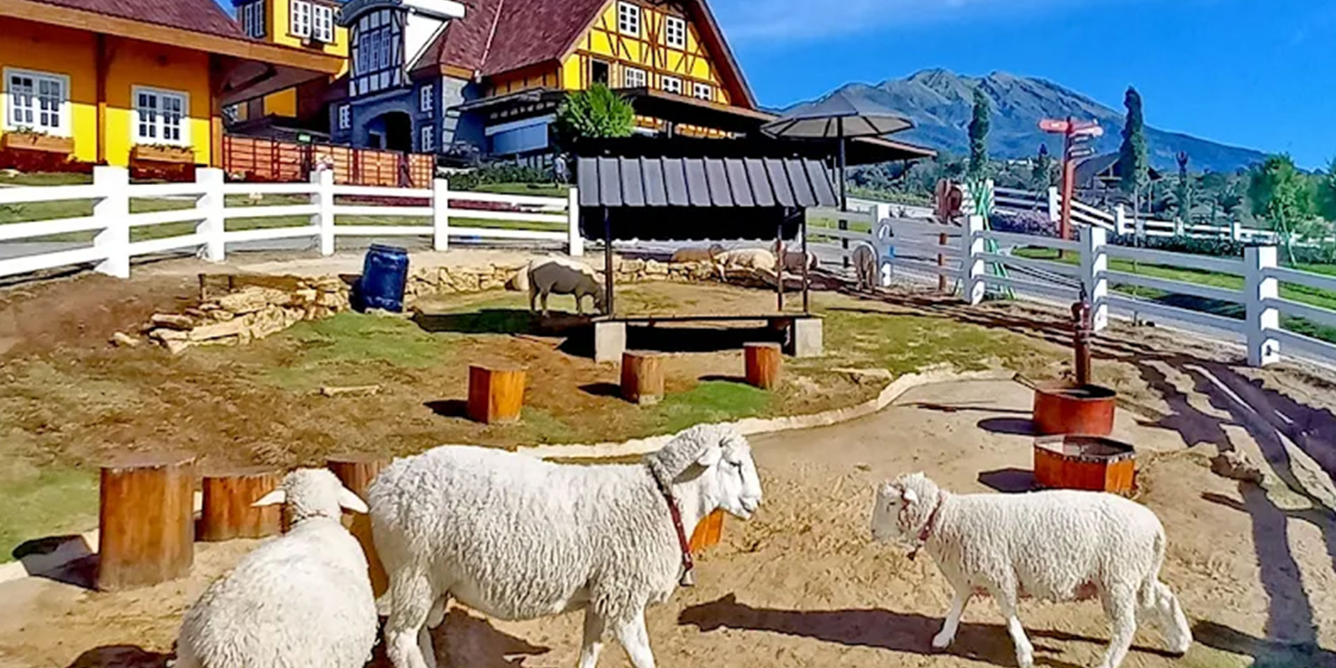 Cepogo Cimory Cheese Park - Kayu Arum Resort