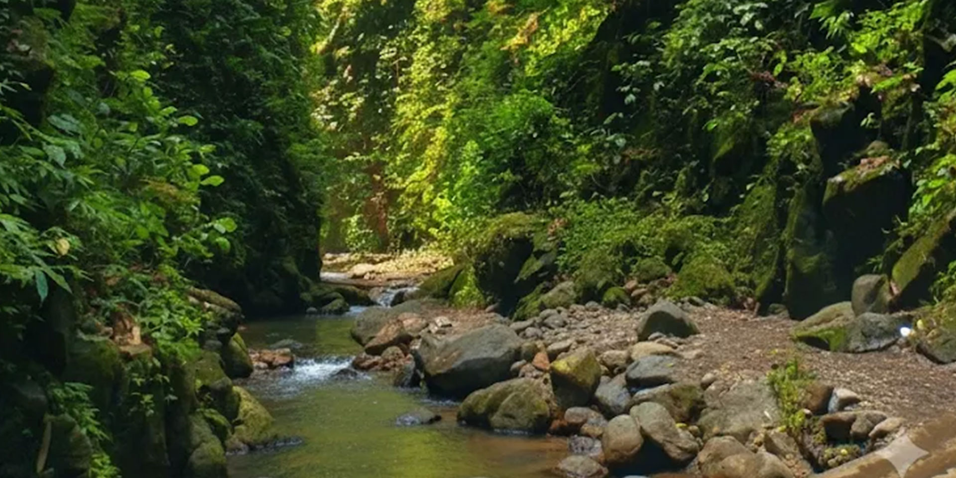 Air Terjun Curug Lawe dan Curuk Benowo Kalisidi - Kayu Arum Resort
